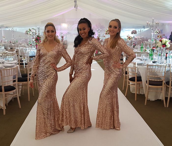 Event Hostess Girls | Party Hostesses | Desi Nach